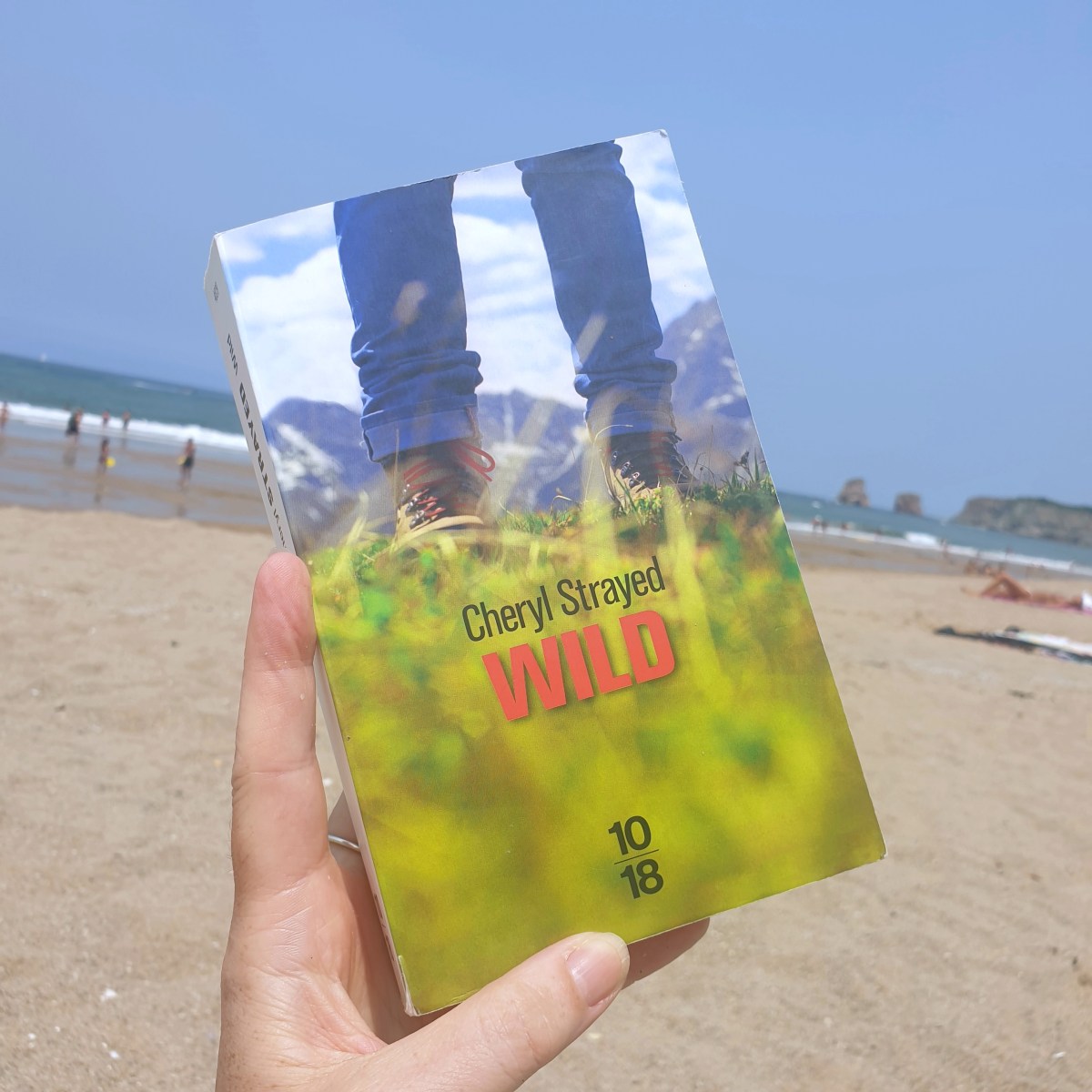 Wild – Cheryl Strayed – Lettres d'Irlande et d'Ailleurs